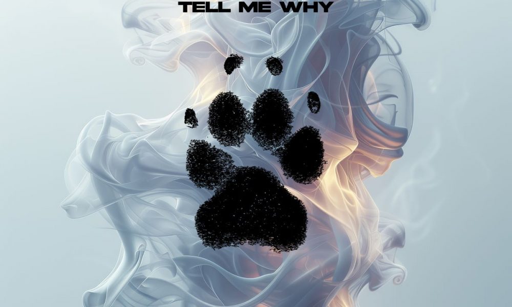 Glasi - Tell Me Why