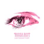 AMY SHARK IST ZURÜCK MIT NEUER MUSIK - ‘EVERYBODY RISE’